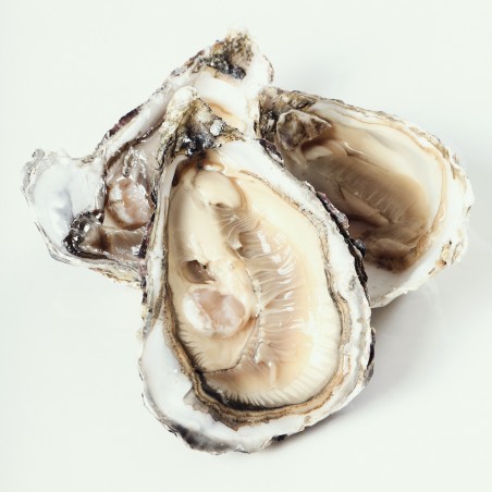 Ostra fresca grande - Salitre